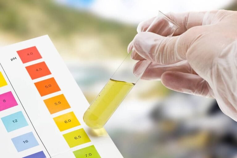 pH Testing Kits – Sahara Industry